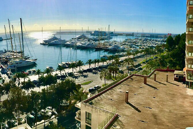 Palma de Mallorca Self-Guided Scavenger Hunt and Tour - Final Thoughts: Is It Worth It?