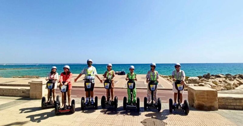 Palma de Mallorca: Sightseeing Segway Tour with Local Guide - Who Would Love This Experience?