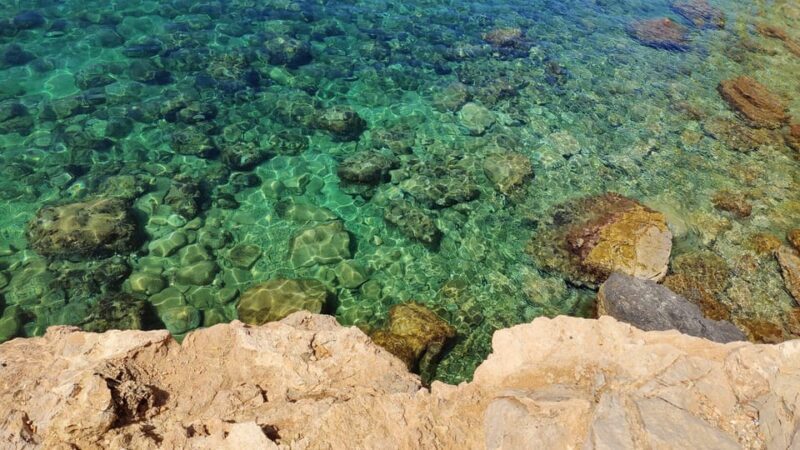 Palma de Mallorca: SmallGroup Tour by Locals in Hidden Coves - The value of this experience