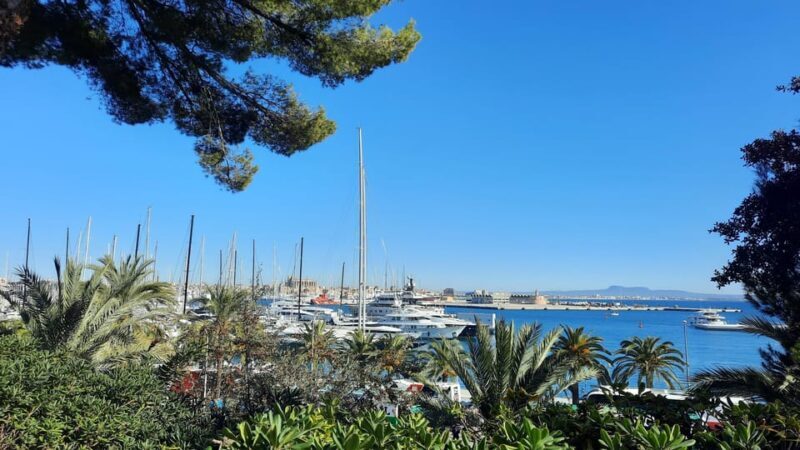 PALMA DE MALLORCA & SOLLER MIT BAHN & STADTFÜHRUNG ab Palma - The Return to Palma and Final Free Time