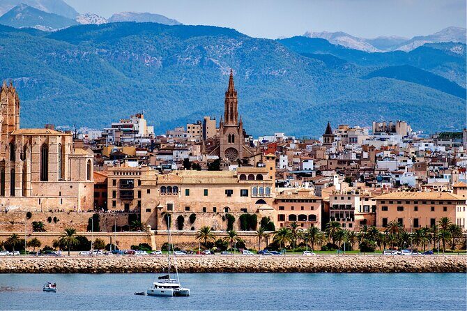 Palma de Mallorca: Walking Tour, Cathedral & Local Tasting - An In-Depth Look at the Tour Itinerary