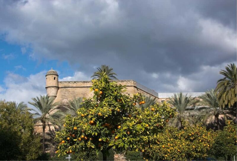 Palma de Mallorca: Walking Tour, Cathedral & Local Tasting - Frequently Asked Questions