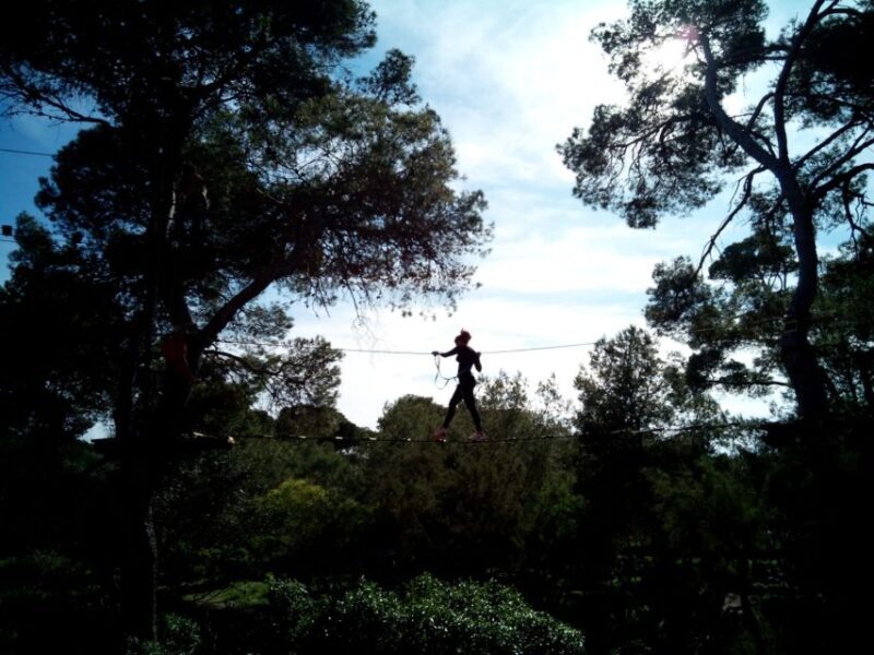 Palma: Family or Sports Course Adventure at Forestal Park - An In-Depth Look at Forestal Park Mallorca
