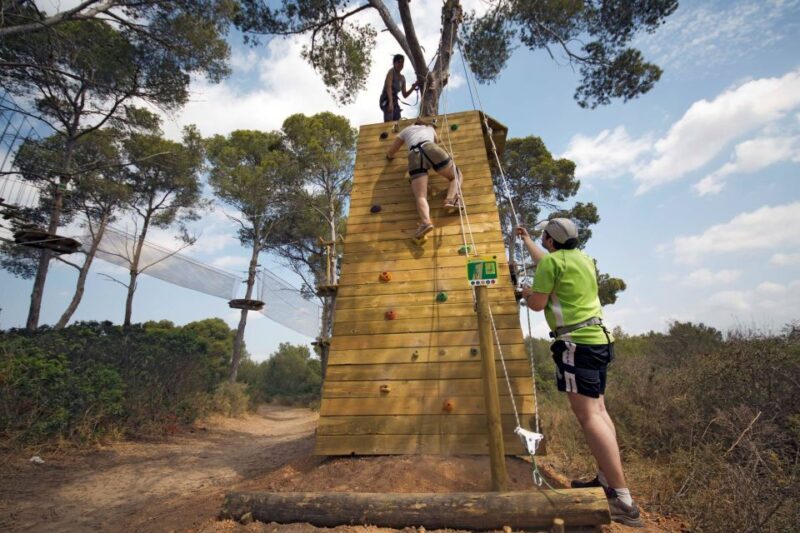 Palma: Family or Sports Course Adventure at Forestal Park - Who Is This Experience Best For?