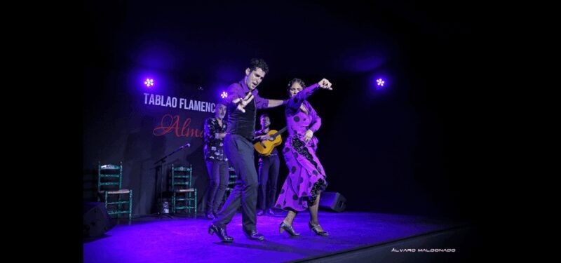 Palma: Flamenco Show at Tablao Flamenco Alma with Drink - What to Expect: The Flamenco Show Itself