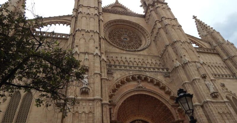 Palma: Old Town Walking Tour & Cathedral Skip-the-Line - Why Choose This Tour?
