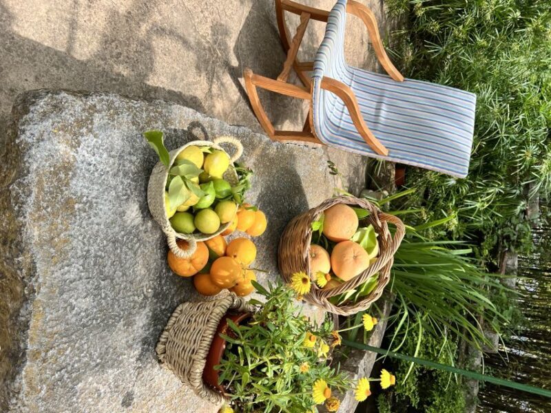 Palma: Orange Valley Vintage Train and Orange Farm Tour - Authentic Insights from Reviewers