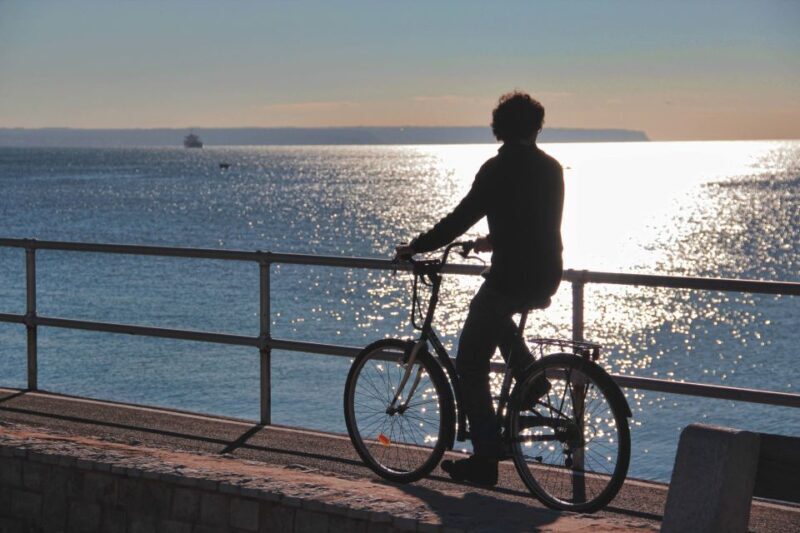 Palma Shore Excursion Bike Tour (Transfer Included) - Why Choose the Palma Bike Tour?
