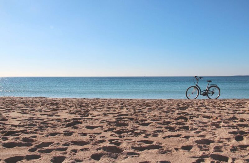 Palma Shore Excursion Bike Tour (Transfer Included) - Practical Tips for Your Trip