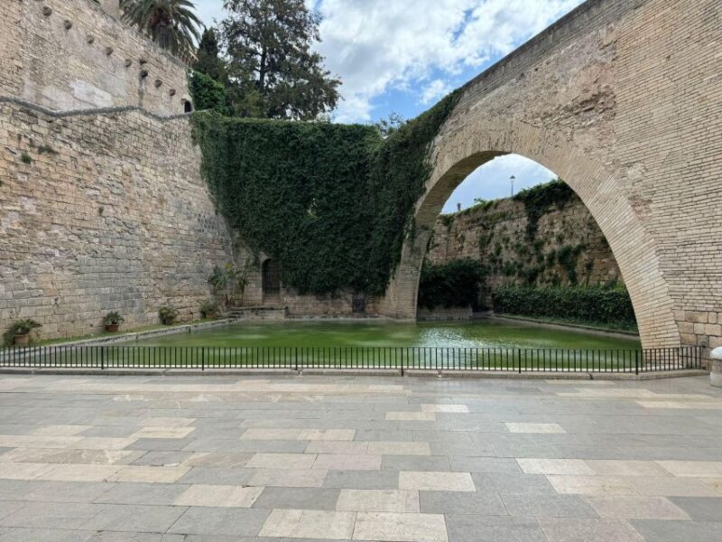 Palma Shore Excursion Bike Tour (Transfer Included) - Final Thoughts
