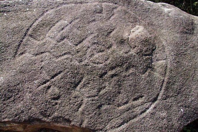 Palma Sola Secrets Petroglyphs Culture & Market Flavors withLunch - Transportation and Logistics