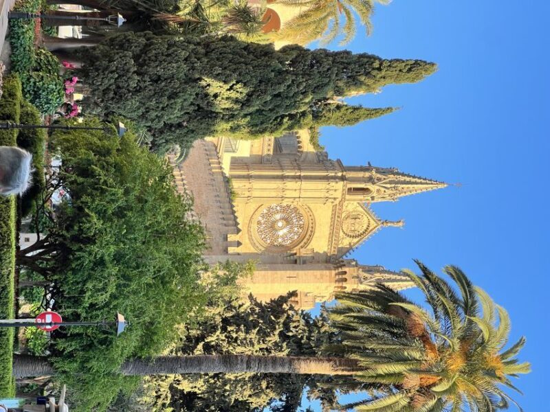 Palmas sightseeing highlights in a private and exclusive way - A Tour That Combines History, Culture, and Authentic Charm