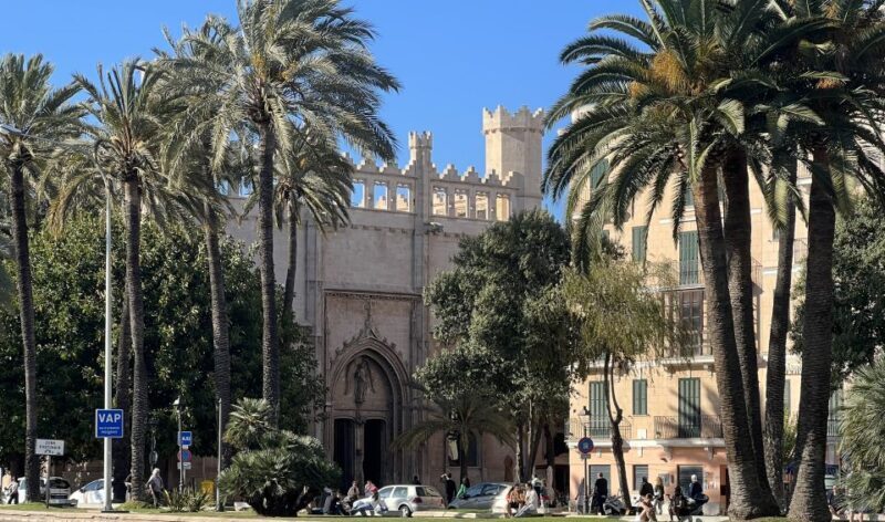 Palmas sightseeing highlights in a private and exclusive way - Practicalities and Tips for Booking