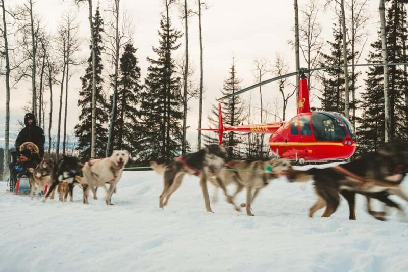 Palmer: "Dogs and Glaciers" Sledding and Helicopter Tour - Final Thoughts