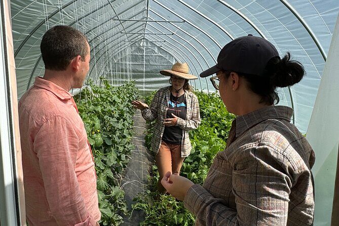 Palmer Farm Tour - FAQ