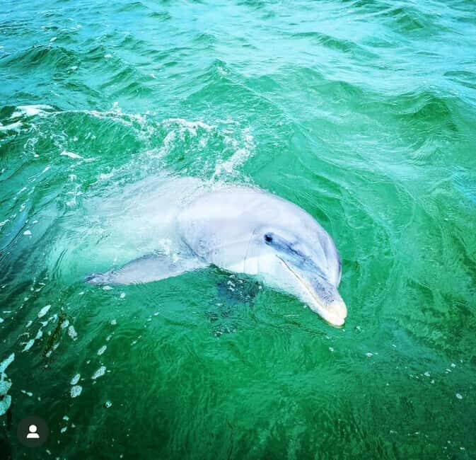 Panama City Beach: Deluxe Pontoon Rental with Shade - What You Need to Know Before Booking