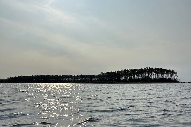 Panama City Beach Florida, Dolphin, Shell Island and Eco Tours - Authentic Insights from Reviewers  