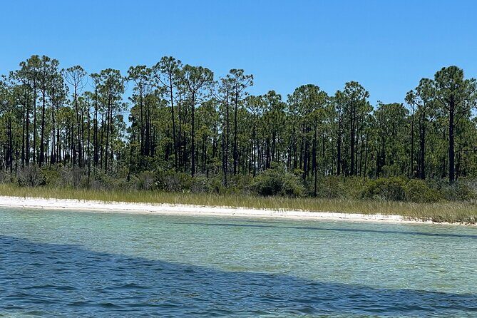 Panama City Beach Florida, Dolphin, Shell Island and Eco Tours - The Sum Up  