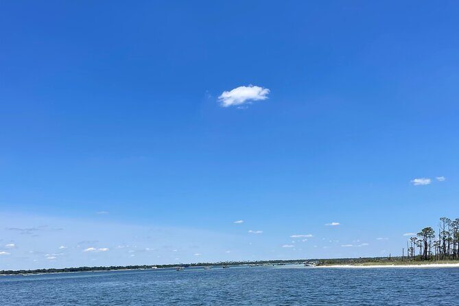 Panama City Beach Florida, Dolphin, Shell Island and Eco Tours - Frequently Asked Questions  