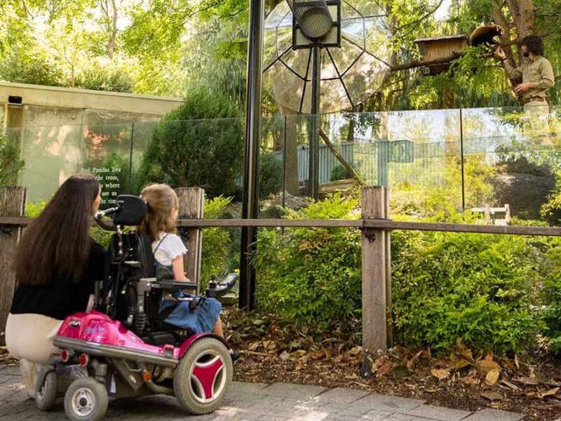Panda & Friends Tour and a Day at Adelaide Zoo - Why This Tour Offers Great Value