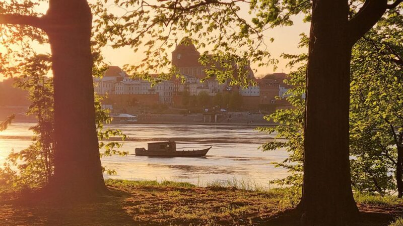 Panorama of Toru - 30-minute cruise - Exploring the Tour Experience: What You Can Expect