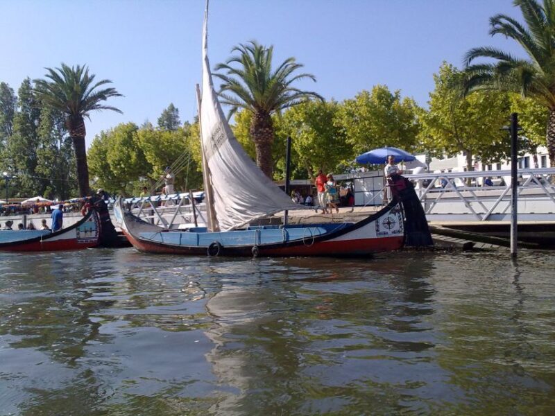 Panoramic Boat City Tour in Aveiro - What Travelers Are Saying: Authentic Insights