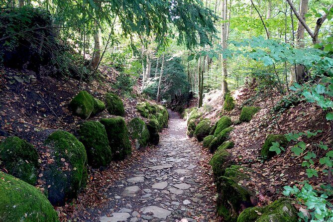 Panoramic E-Bike Tour with a Lake Cruise - FAQ