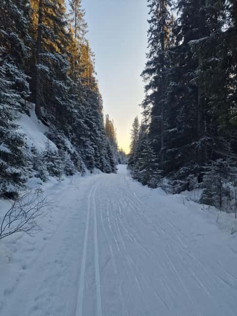Panoramic Peaks  Oslos Most Beautiful Fjord Views Hike - Discovering Oslo from Above: The Perfect Nature Escape
