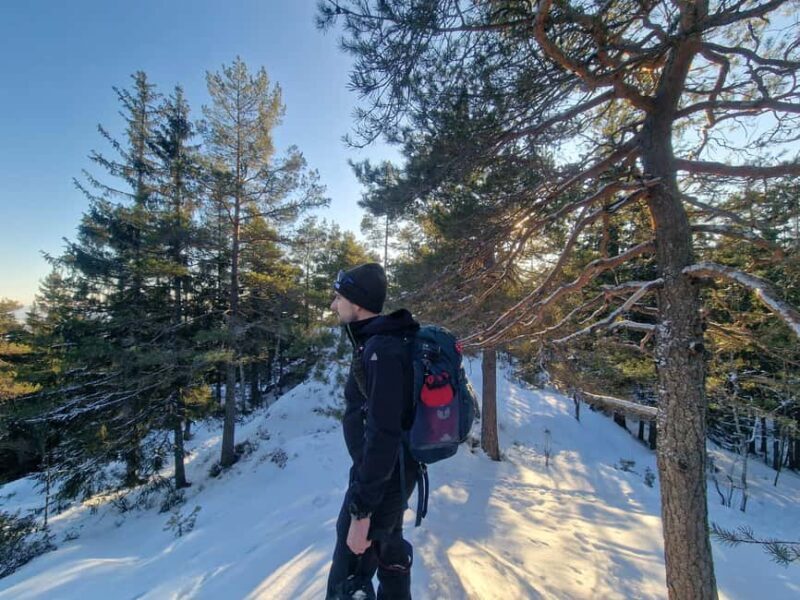 Panoramic Peaks  Oslos Most Beautiful Fjord Views Hike - The Itinerary: A Well-Structured Nature Day