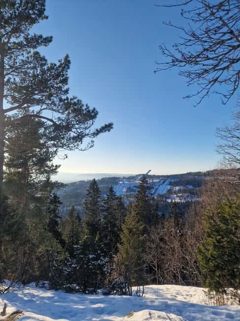 Panoramic Peaks  Oslos Most Beautiful Fjord Views Hike - The Value of This Tour