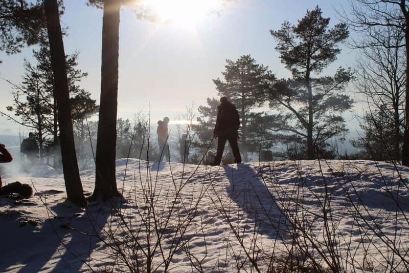 Panoramic Peaks  Oslos Most Beautiful Fjord Views Hike - Authentic Reviews and Insights