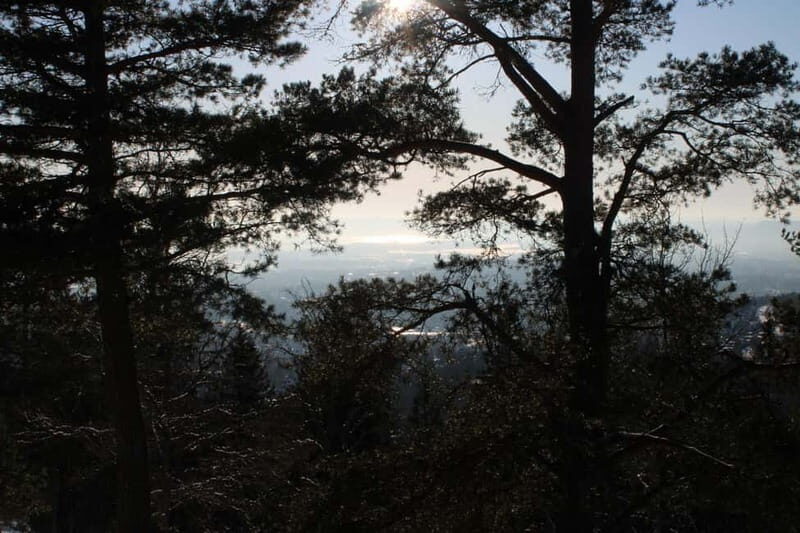 Panoramic Peaks  Oslos Most Beautiful Fjord Views Hike - Who Will Love This Tour?