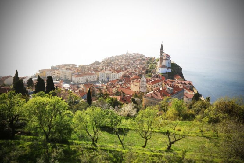 Panoramic Piran and Salt Pans: E-Bike Boutique Tour - Wrapping It Up