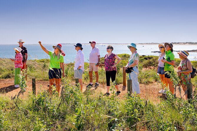 Panoramic Sightseeing Bus Tour - Discover Broome! - A Deep Dive into the Broome Panorama Experience