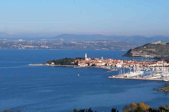 Panoramic Tour to Piran with Sweet Surprise - Pricing and Value