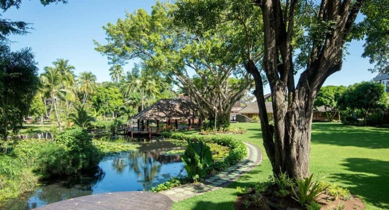 Papeete: Guided City Tour & Pearl Museum Visit - Key Points