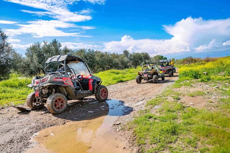 Paphos: 4x4 ATV & Buggy Safari Tour to Aphrodite's Rock - Paphos: 4x4 ATV & Buggy Safari Tour to Aphrodites Rock – An Authentic Ride Through Cyprus