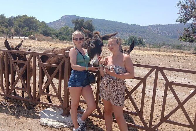 Paphos: Akamas Gorge & Turtle Bay & Donkey Farm Jeep Safari Tour - Key Points