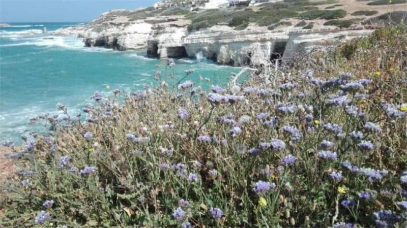 Paphos: Akamas, Waterfalls & Blue Lagoon of Aphrodite Tour - Key Points