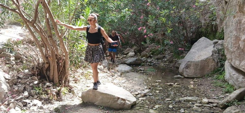 Paphos: Avakas Gorge & Turtle Bay Jeep Tour with Donkey Farm - Ending the Day in a Traditional Village