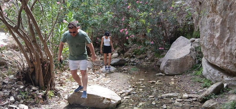 Paphos: Avakas Gorge & Turtle Bay Jeep Tour with Donkey Farm - Who Would Love This Tour?