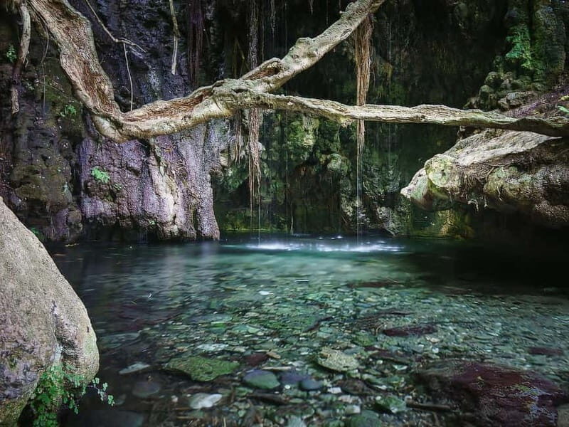 Paphos: Blue Lagoon, Aphrodite's Baths & Sea Caves Day Trip - Key Points