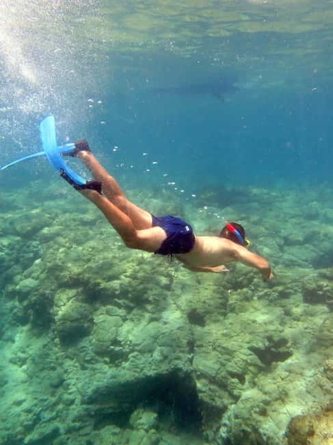 Paphos: Blue Lagoon Cruise-BBQ Lunch, Open Bar, Slide - The Activities & Extra Touches  