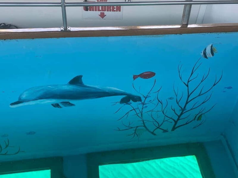 Paphos: Glass Bottom Boat Trip with Swimming or Snorkeling - Final Thoughts