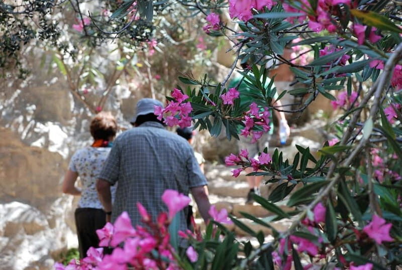 Paphos: Land Rover Jeep Safari Coastal Tour and Blue Lagoon - Value and Price