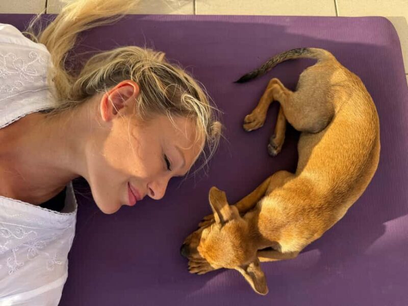 Paphos (Peyia): Mindful Yoga with Rescue Puppies - The Setting and Atmosphere