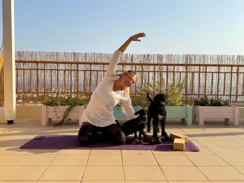 Paphos (Peyia): Mindful Yoga with Rescue Puppies - The Reviews Speak for Themselves