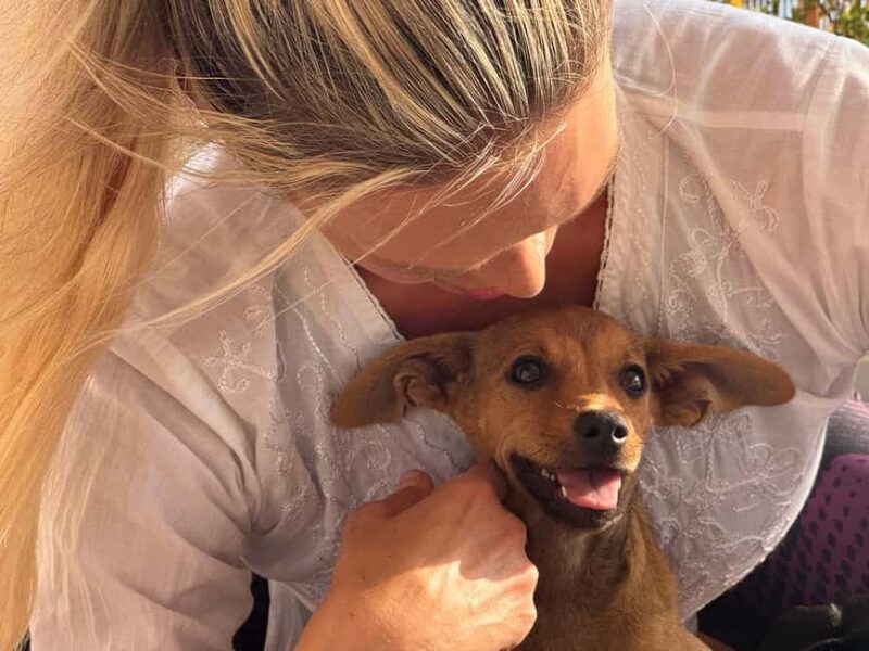 Paphos (Peyia): Mindful Yoga with Rescue Puppies - The Sum Up