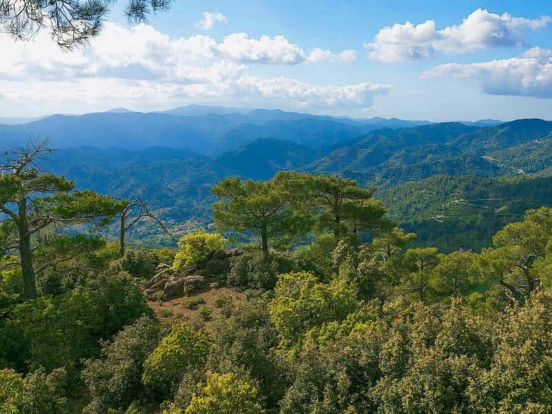 Paphos: Scenic Troodos Mountains Tour with Wine Tasting - An In-Depth Look at the Troodos Mountains Tour