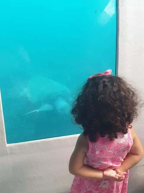 Paphos: Sunset Cruise, Turtle Watching, & Unlimited Drinks - An In-Depth Look at the Paphos Sunset Cruise